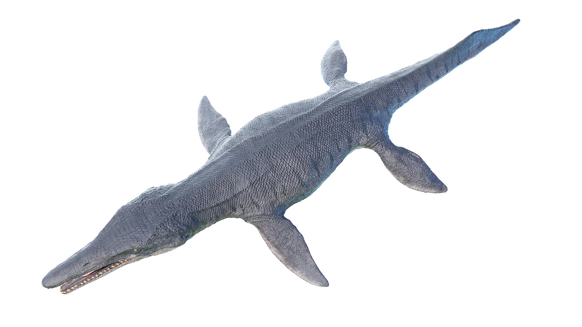 3D Kronosaurus Kronos - TurboSquid 1668957