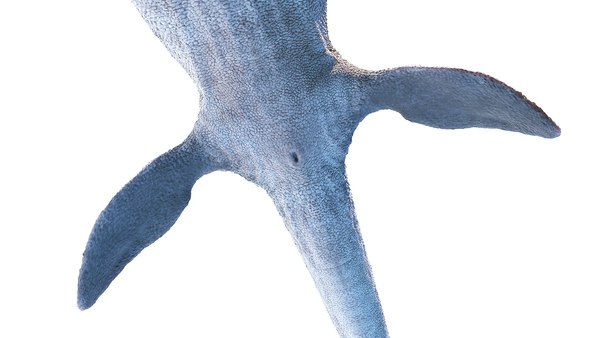 modelo 3d Kronosaurus animado - TurboSquid 1668957