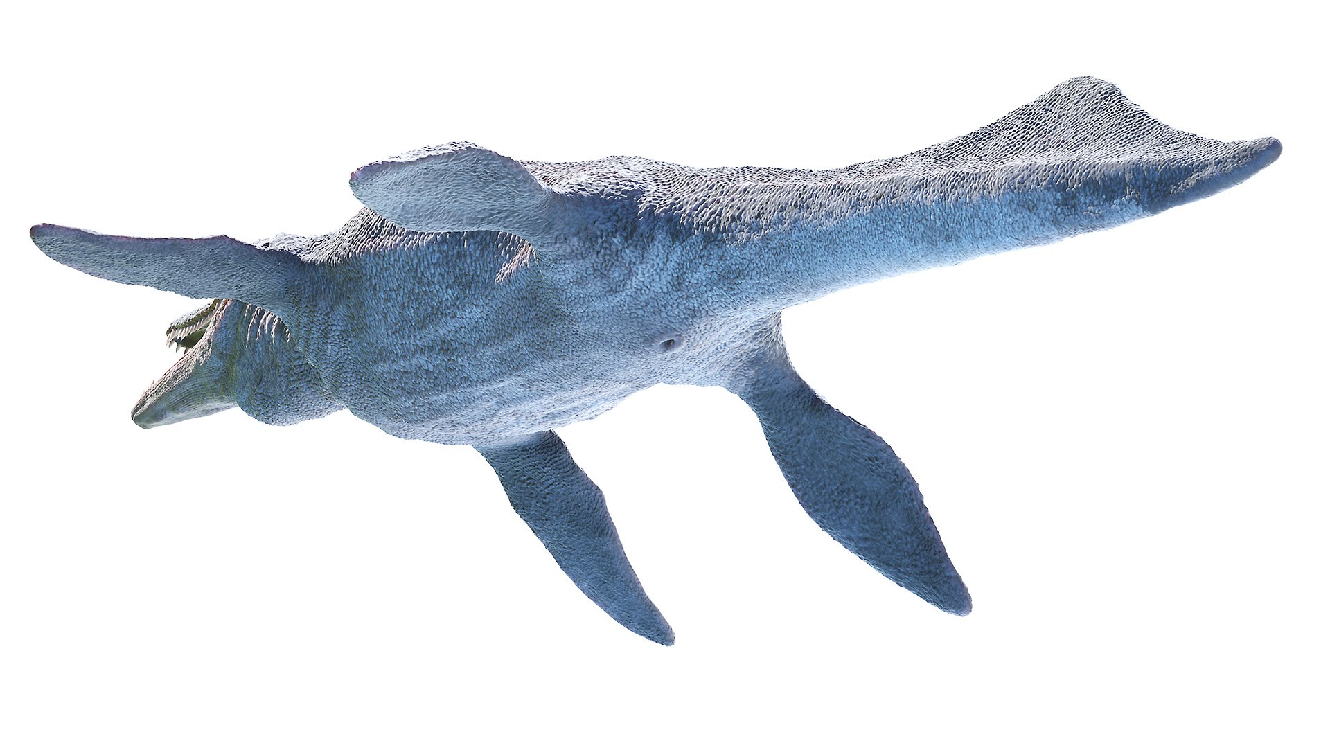 3D Kronosaurus Kronos - TurboSquid 1668957