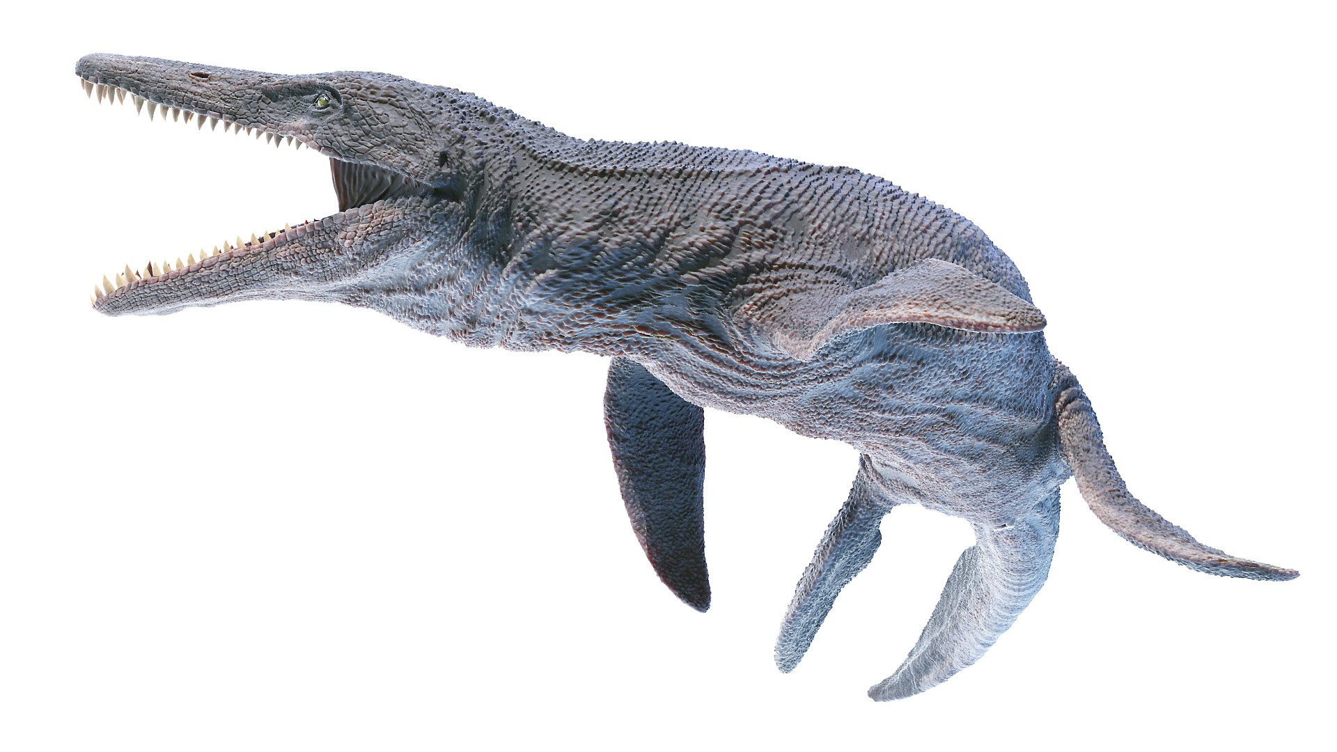 3D Kronosaurus Kronos - TurboSquid 1668957