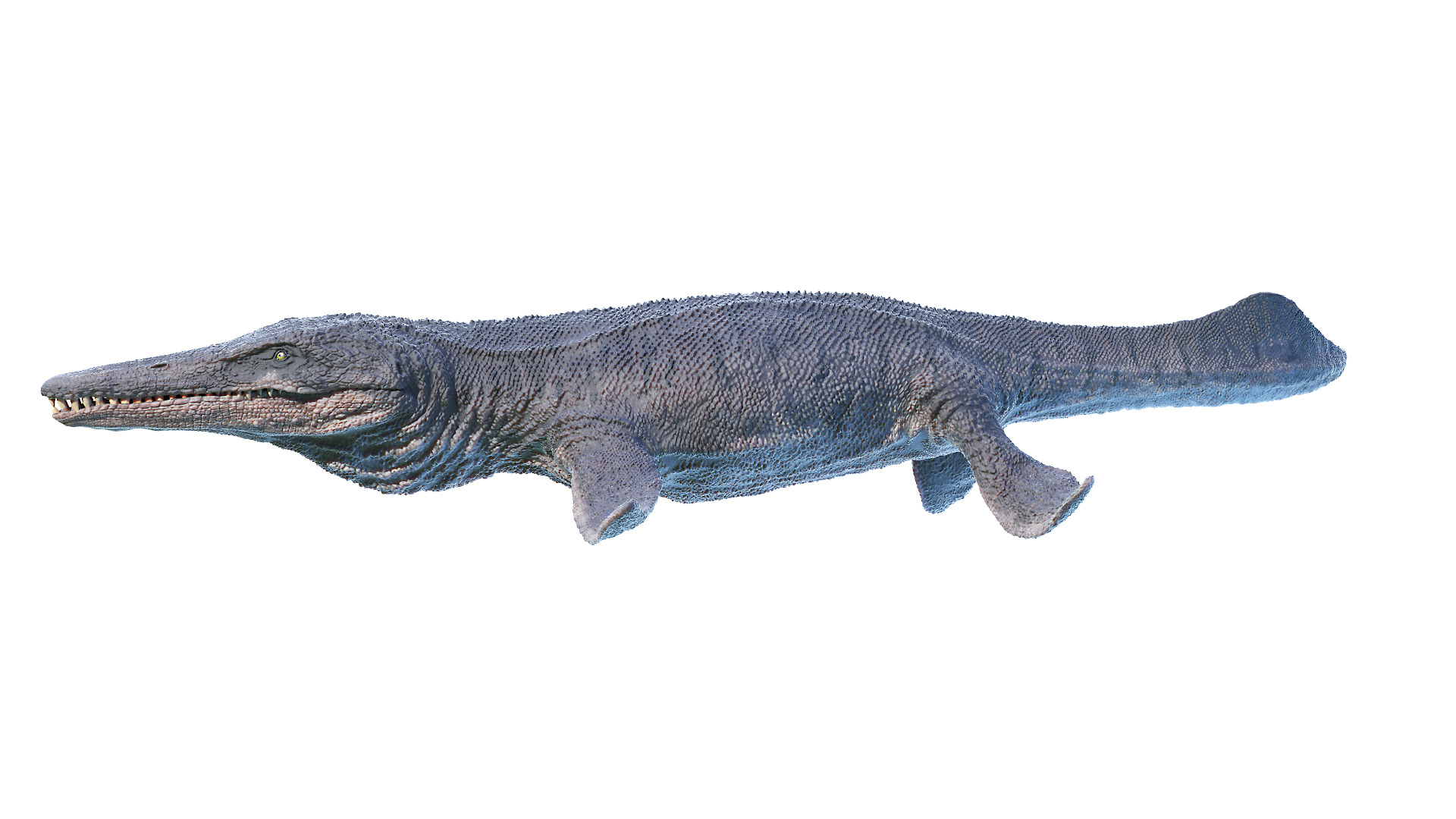 3D Kronosaurus Kronos - TurboSquid 1668957
