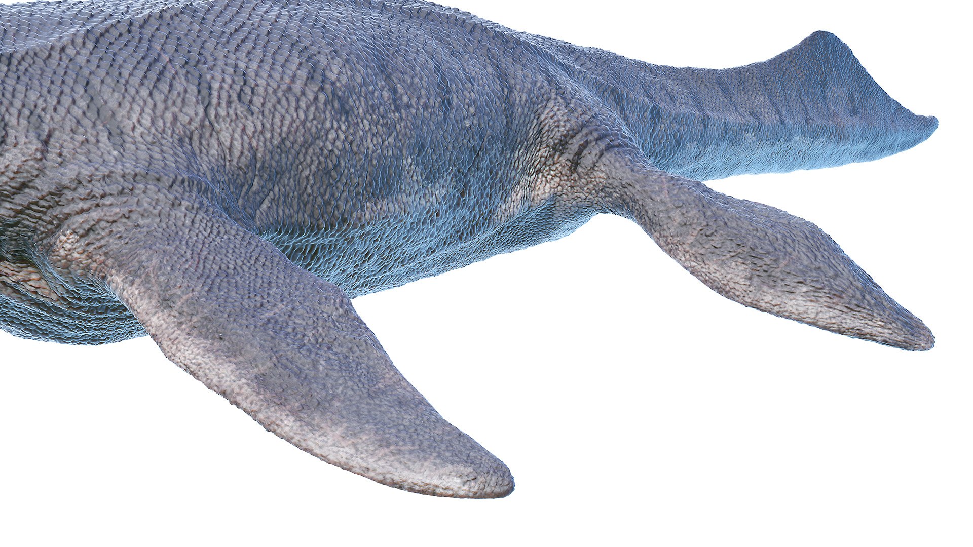 3D Kronosaurus Kronos - TurboSquid 1668957