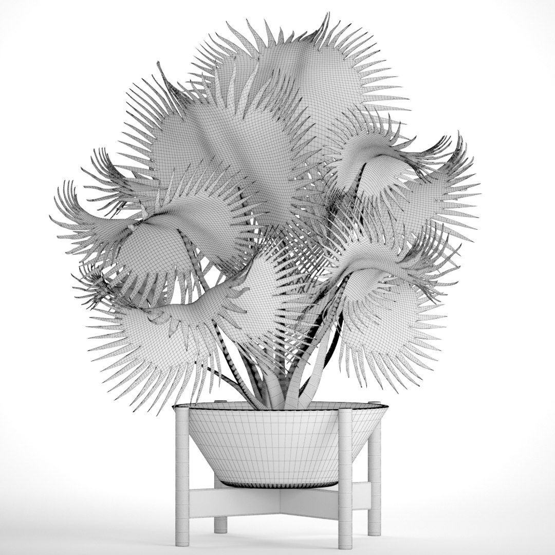 3D Model Palm Tree - TurboSquid 1196356
