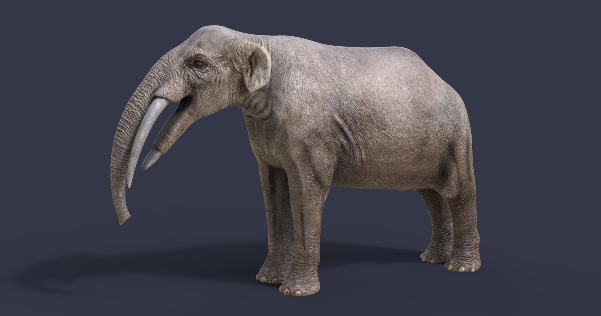 3D Gomphotherium Steinheimense Model - TurboSquid 1756061