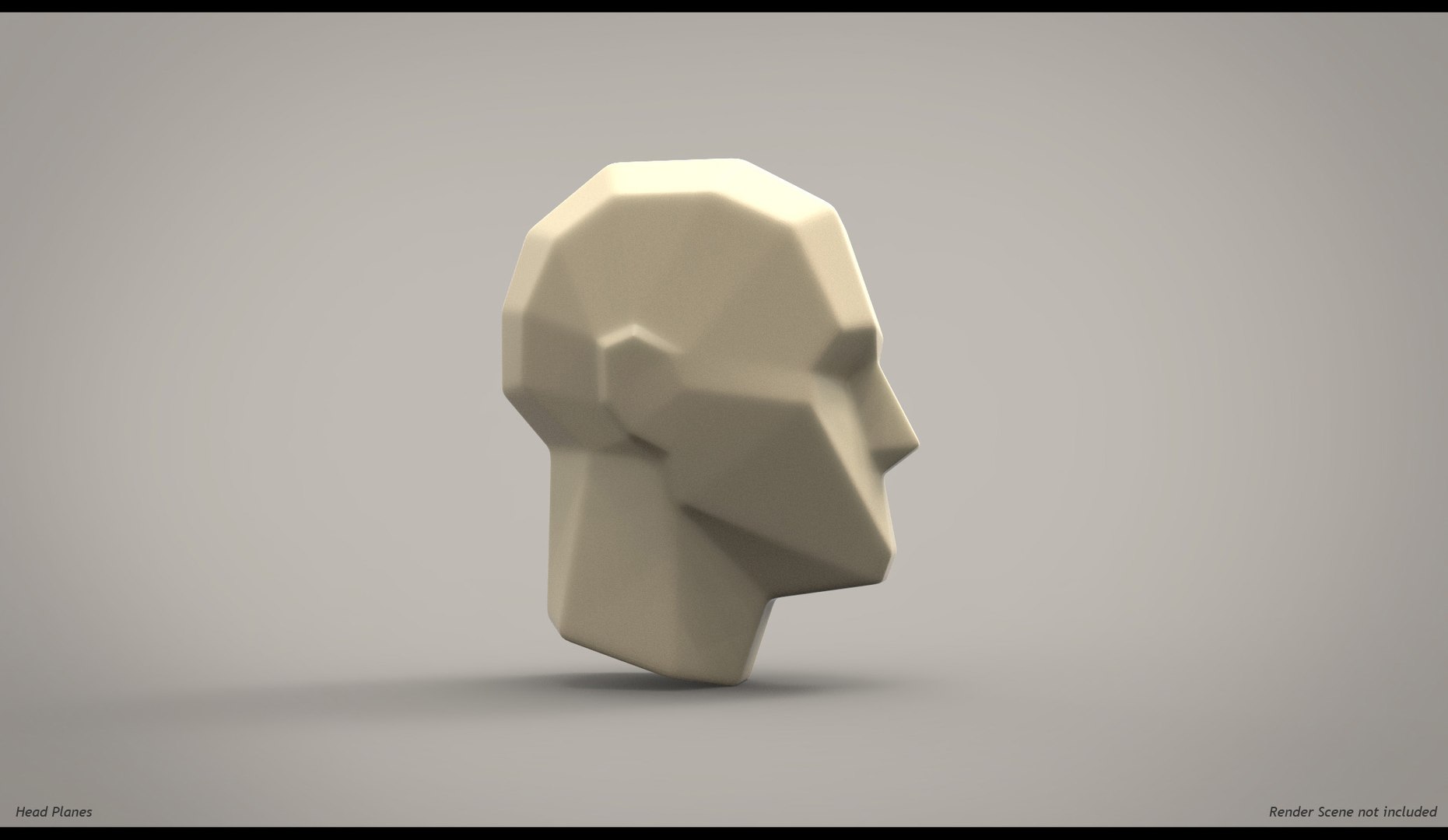 3d Model Planes Head Anatomy