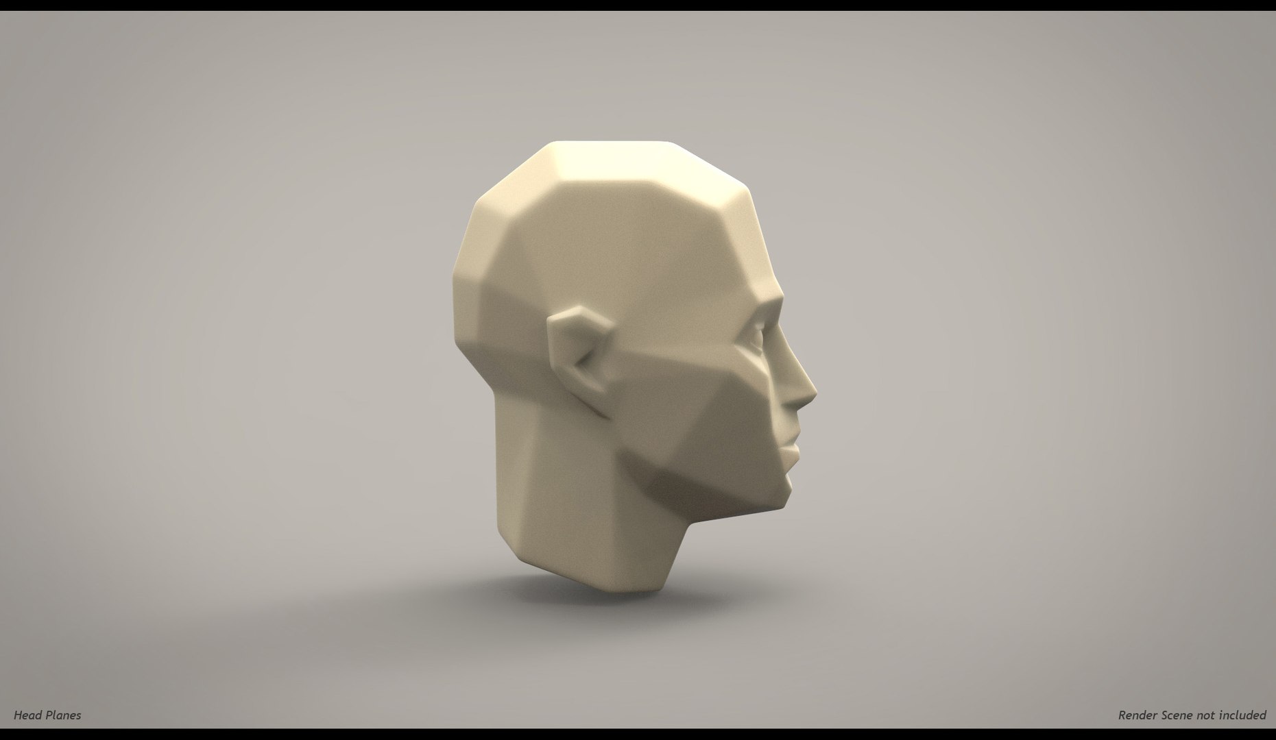 3d Model Planes Head Anatomy