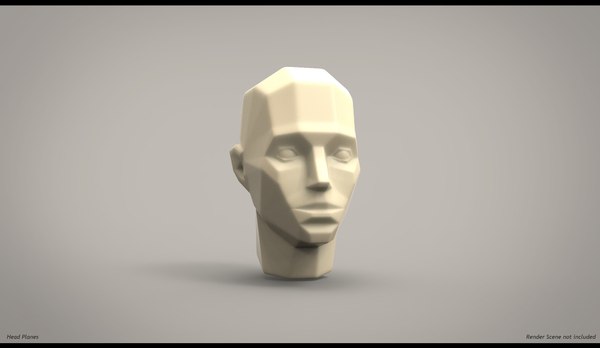 3d model planes head anatomy