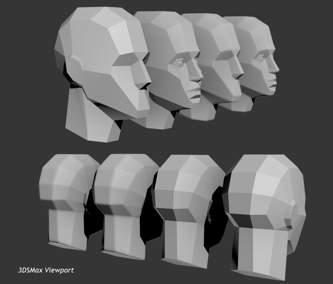 3d Model Planes Head Anatomy