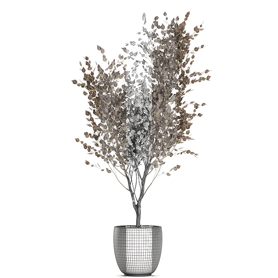 Decorative Trees Interior Black 3D Model - TurboSquid 1619659