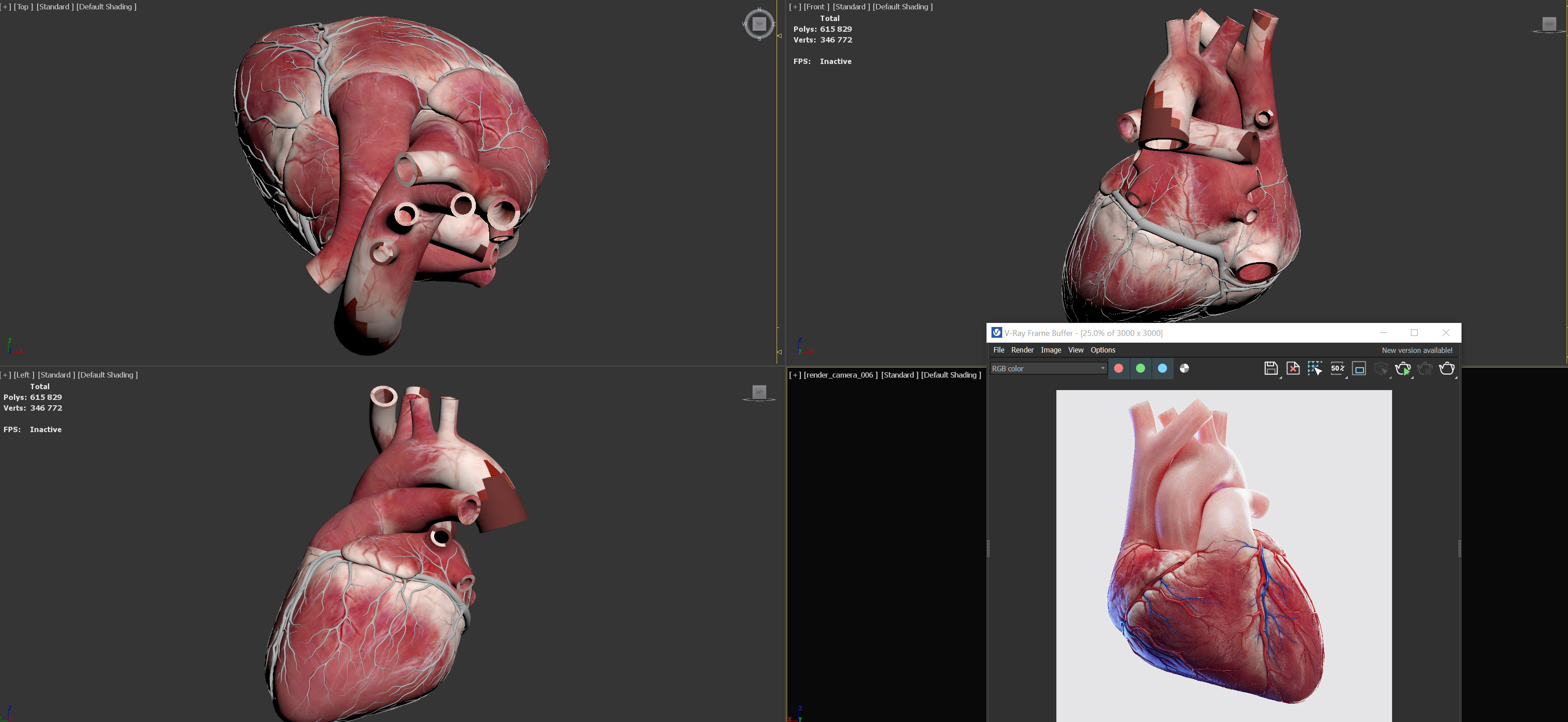 Medically accurate Human Heart including coronary vessels 3D 모델 ...