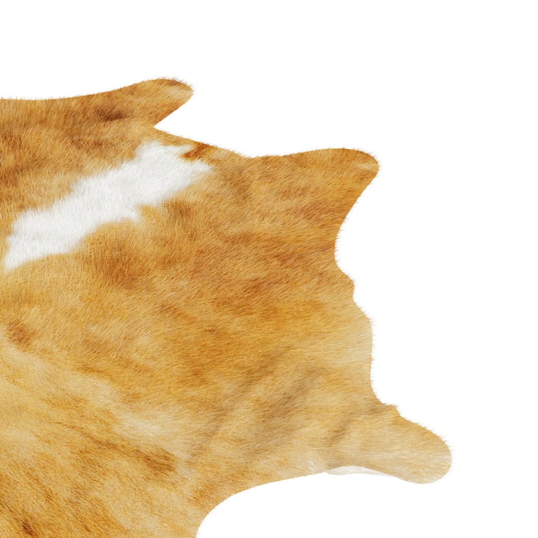 Animal Skin Rug 06 3D Model - TurboSquid 1777264
