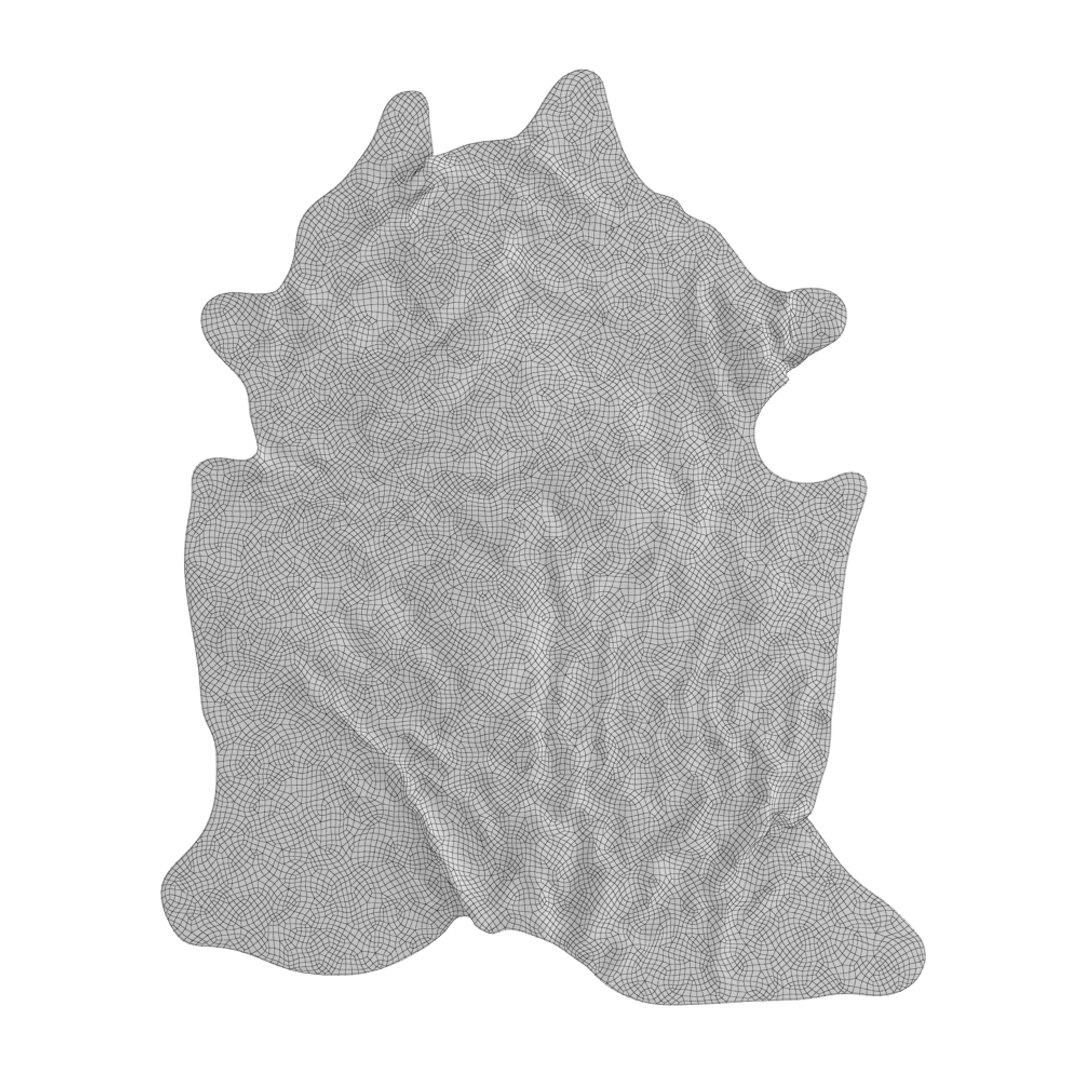 Animal Skin Rug 06 3D Model - TurboSquid 1777264