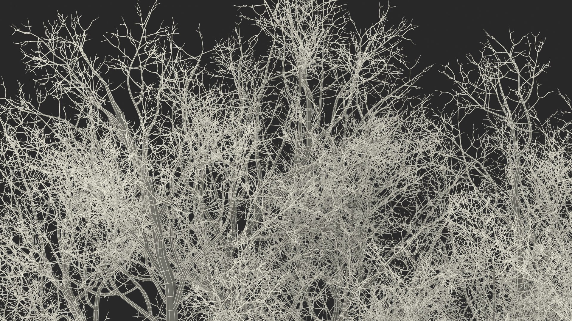 Big Bare Tree 3D model - TurboSquid 1726033