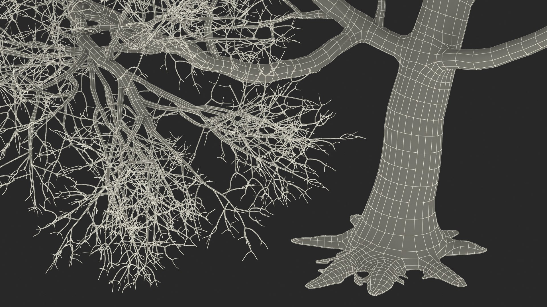 Big Bare Tree 3D model - TurboSquid 1726033
