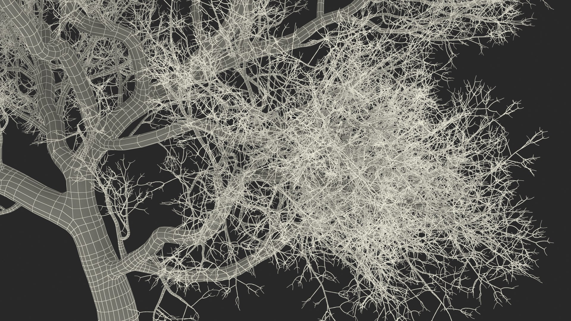 Big Bare Tree 3D model - TurboSquid 1726033