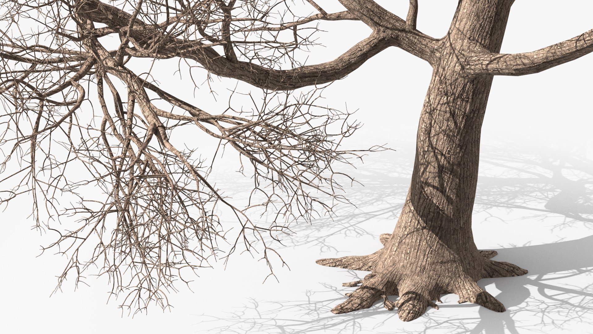 Big Bare Tree 3D model - TurboSquid 1726033