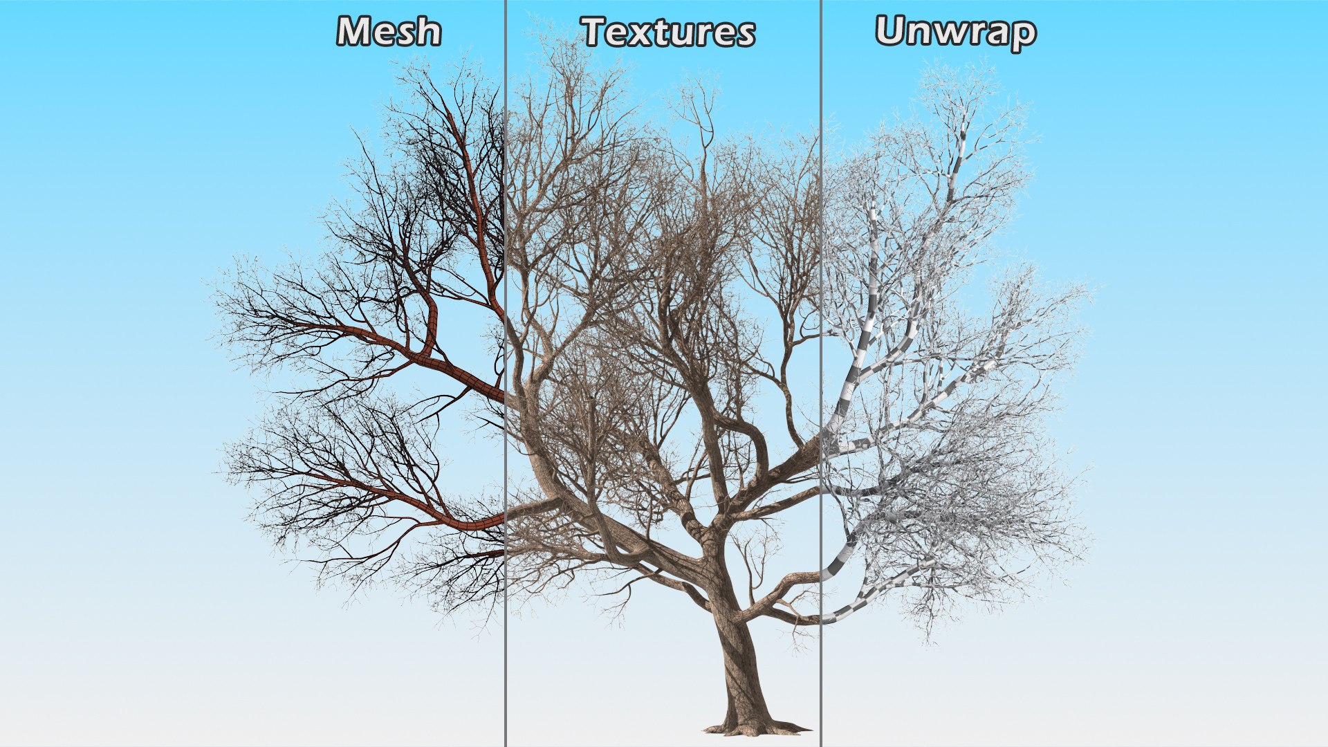Big Bare Tree 3D model - TurboSquid 1726033