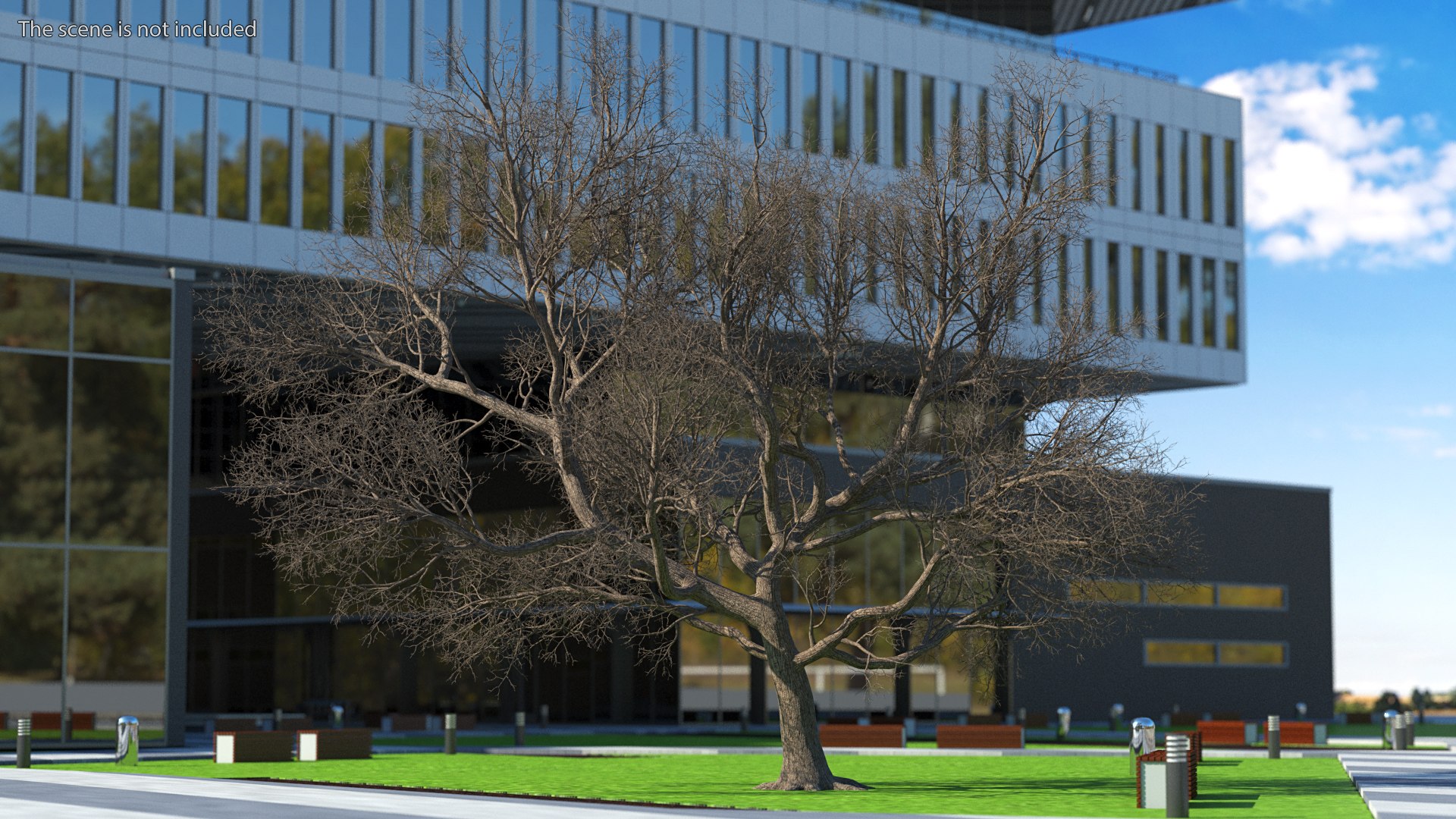 Big Bare Tree 3D model - TurboSquid 1726033