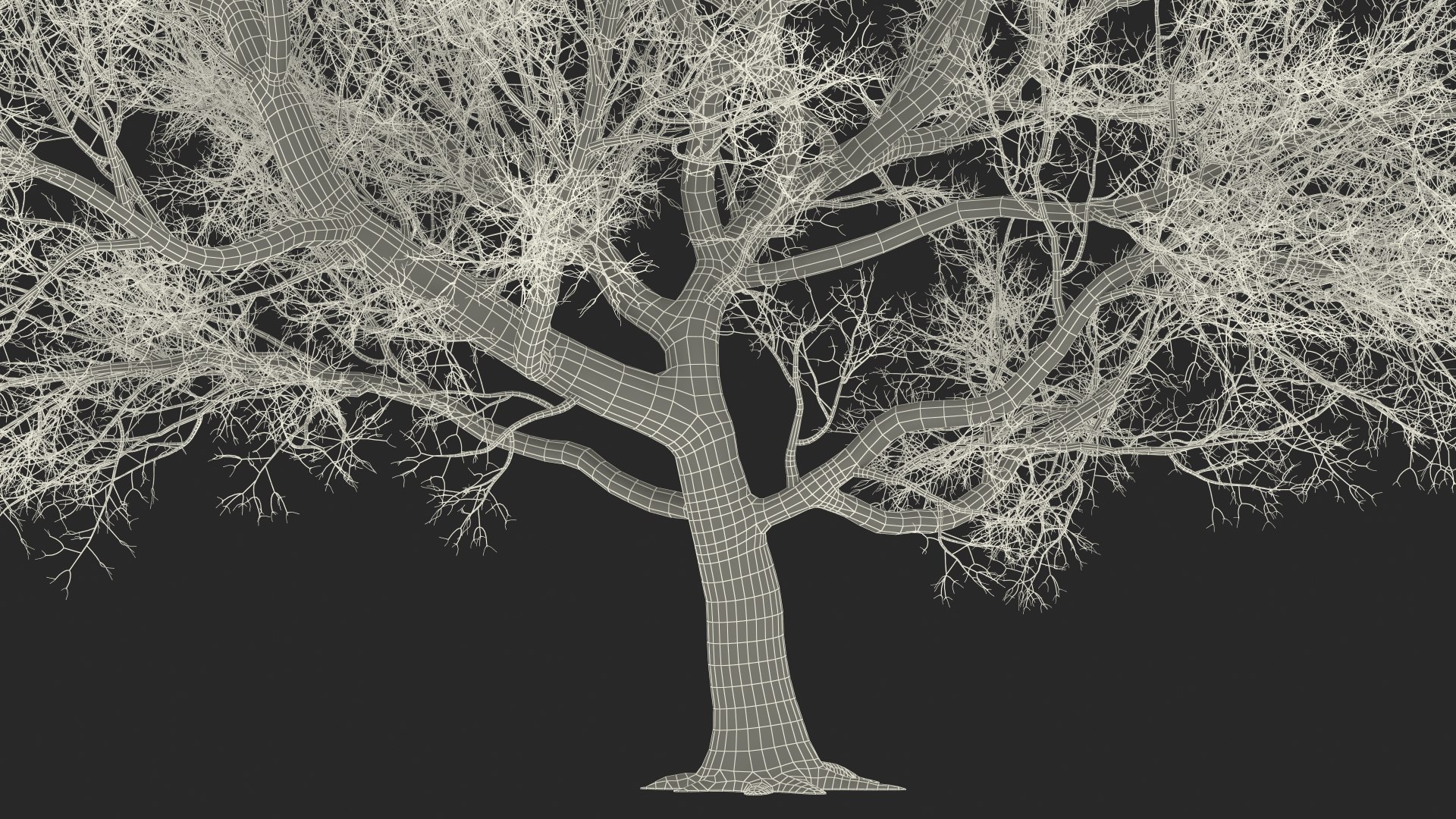 Big Bare Tree 3D model - TurboSquid 1726033