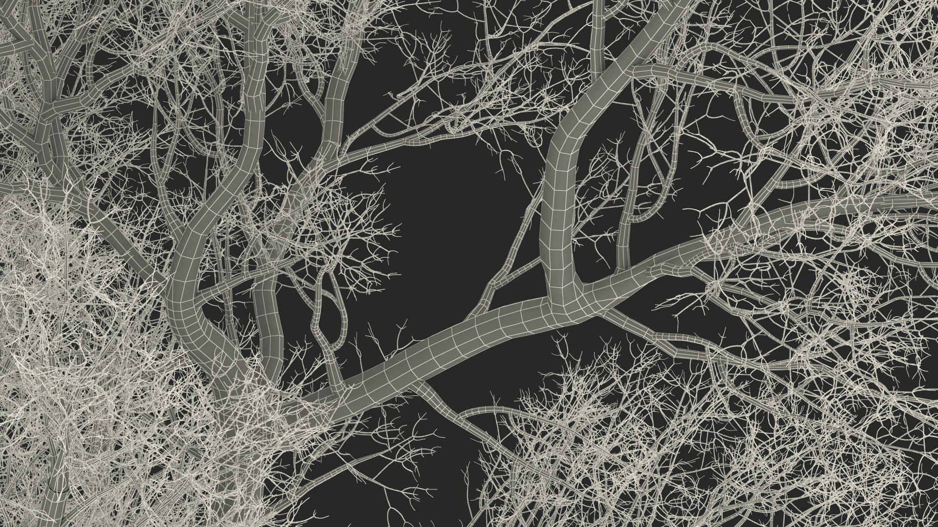 Big Bare Tree 3D model - TurboSquid 1726033