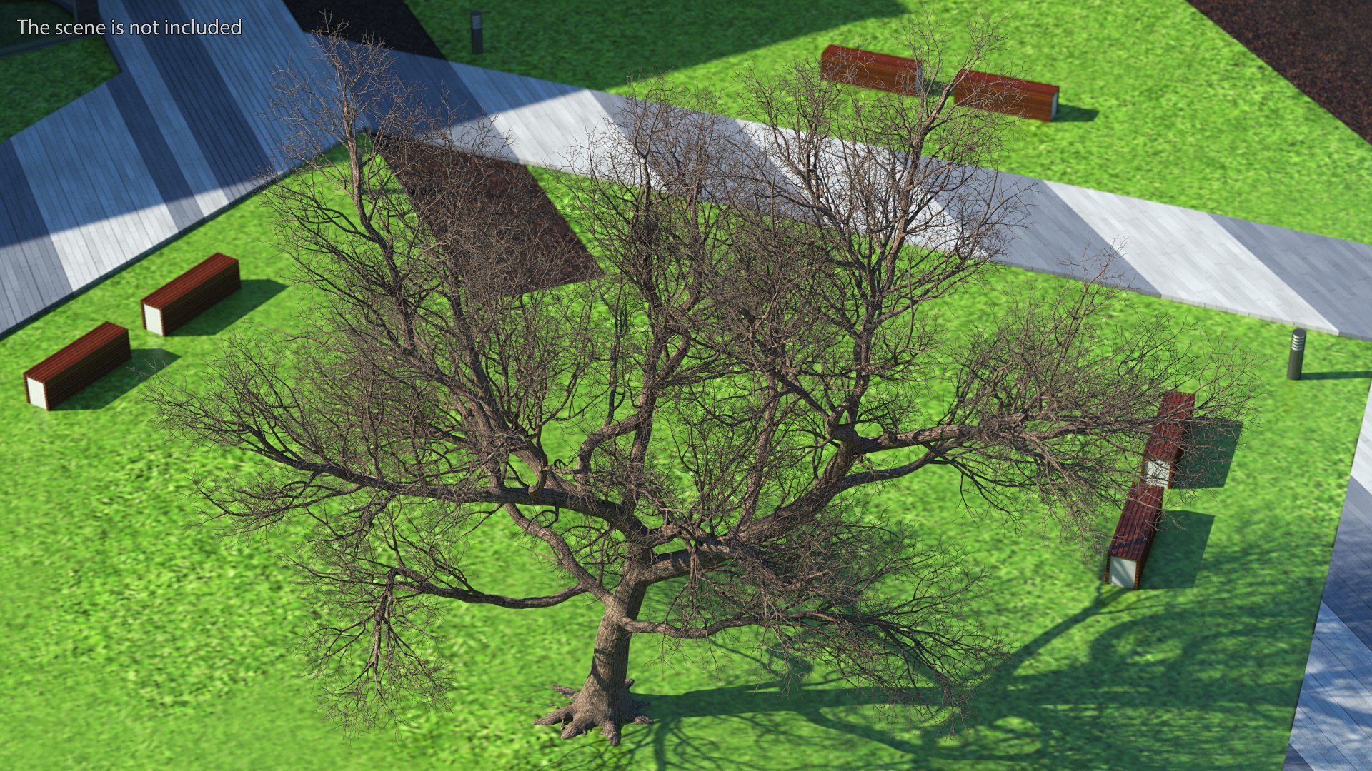 Big Bare Tree 3D model - TurboSquid 1726033