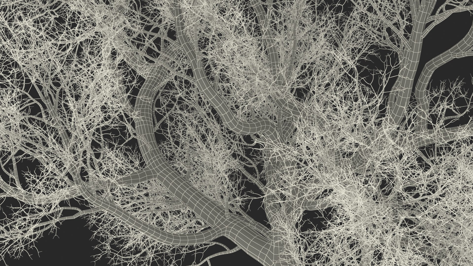 Big Bare Tree 3D model - TurboSquid 1726033