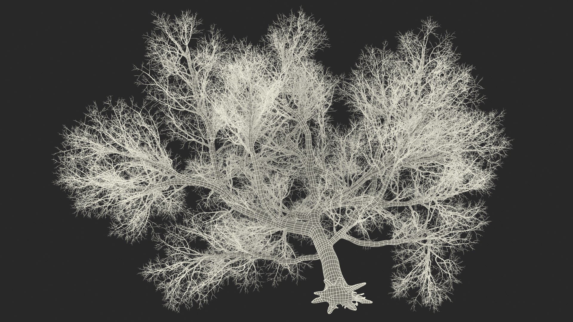 Big Bare Tree 3D model - TurboSquid 1726033
