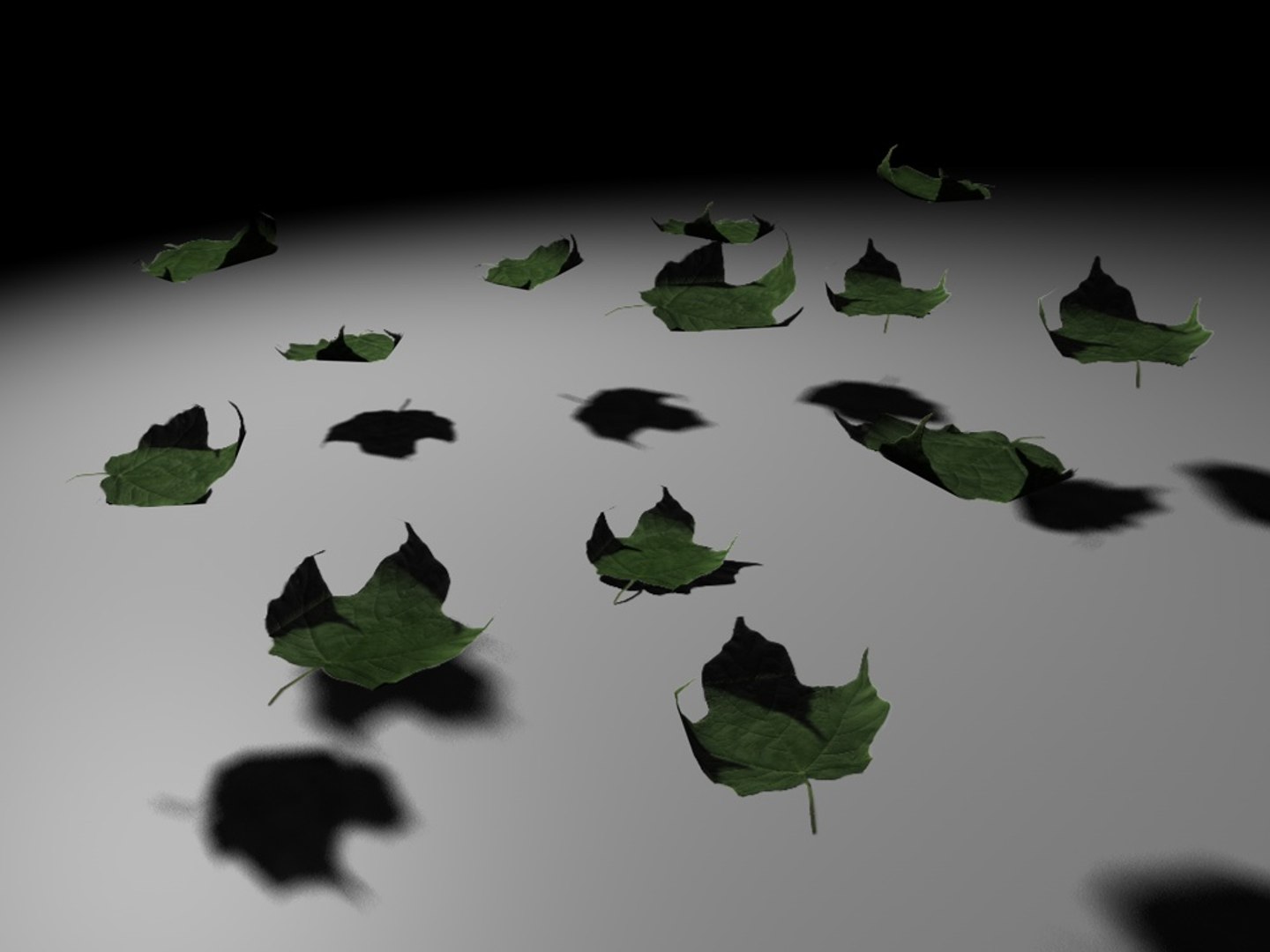 Leaf 3d C4d