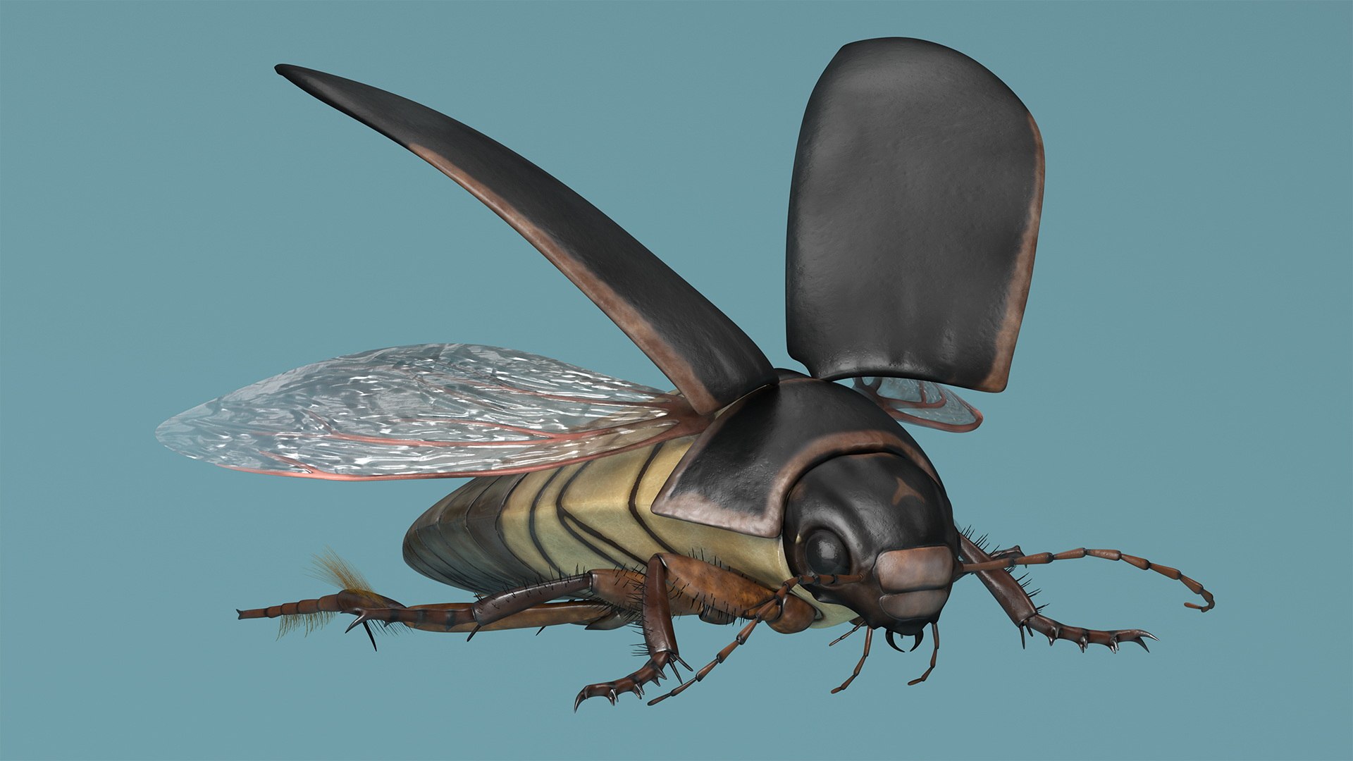 Screech Beetle Black Rigged 3D Model - TurboSquid 2250531
