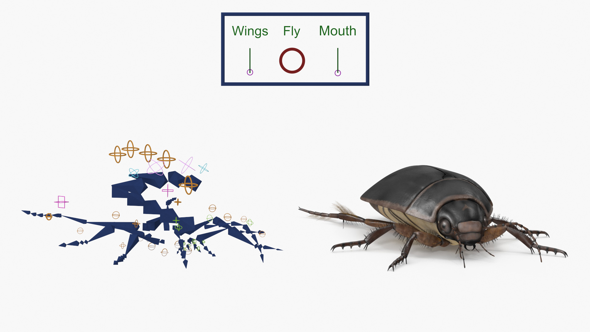 Screech Beetle Black Rigged 3D Model - TurboSquid 2250531