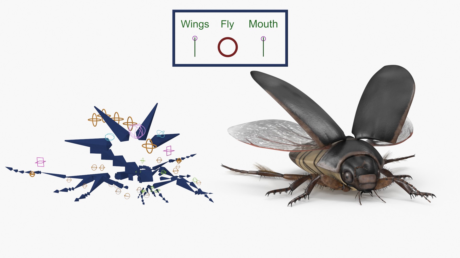 Screech Beetle Black Rigged 3D Model - TurboSquid 2250531