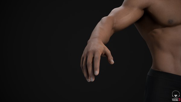 Muscle Men Collection 3D model - TurboSquid 1754820