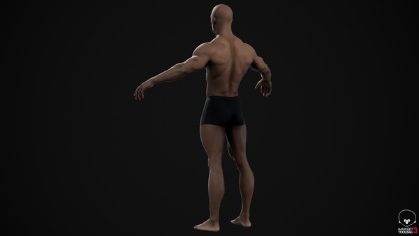 Muscle Men Collection 3D model - TurboSquid 1754820