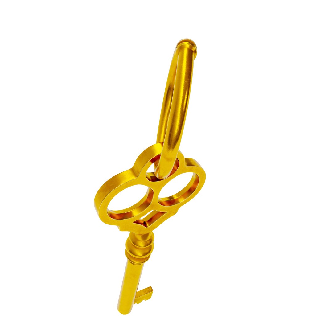 3D Door Gold Key 3d Model - TurboSquid 1976712