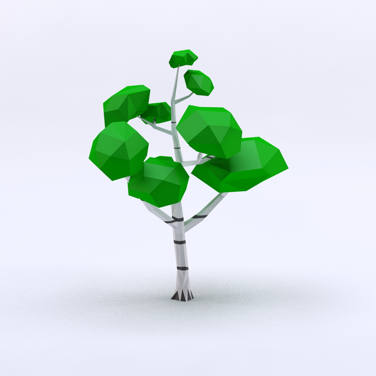 3ds max cartoon birch tree