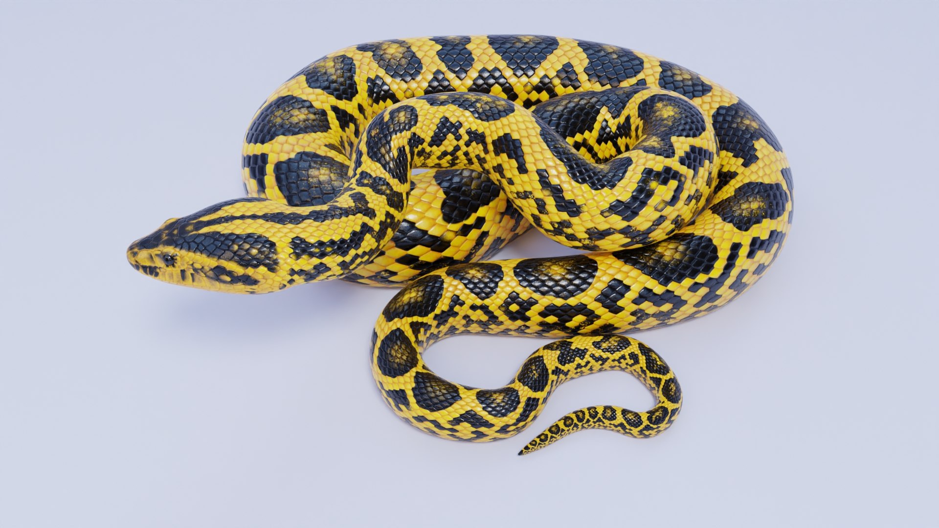 3D Yellow Anaconda 3D Mesh - TurboSquid 1880497