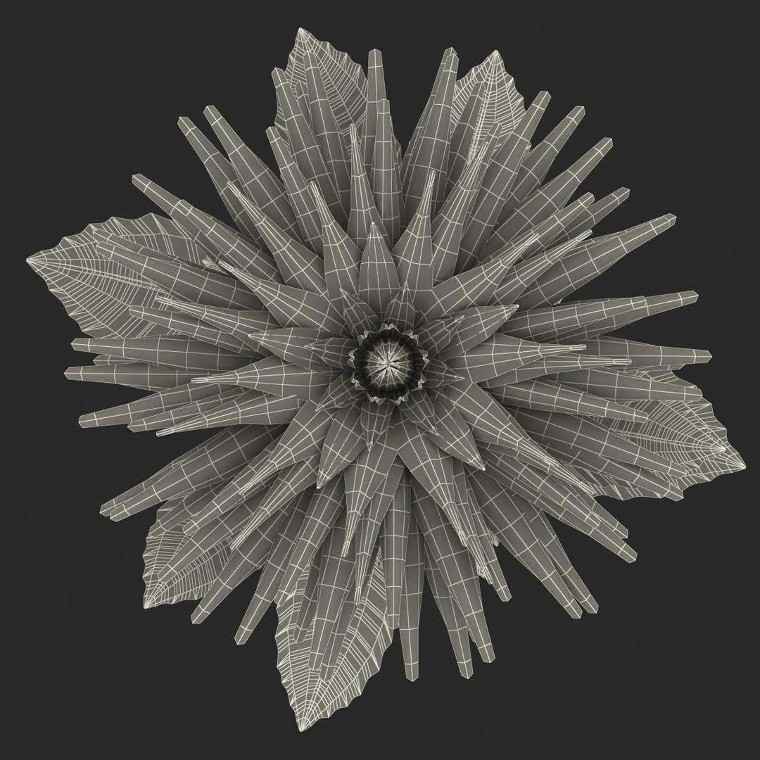 3d Model Dahlias Flowers Modelled