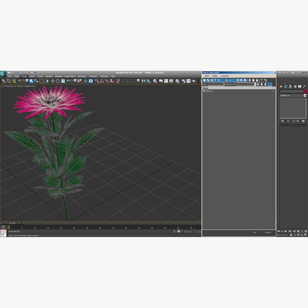 3d Model Dahlias Flowers Modelled