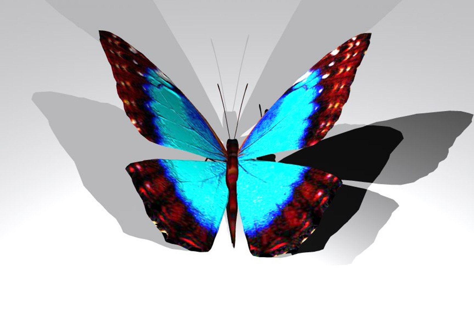 Common Blue Butterfly 3d Model