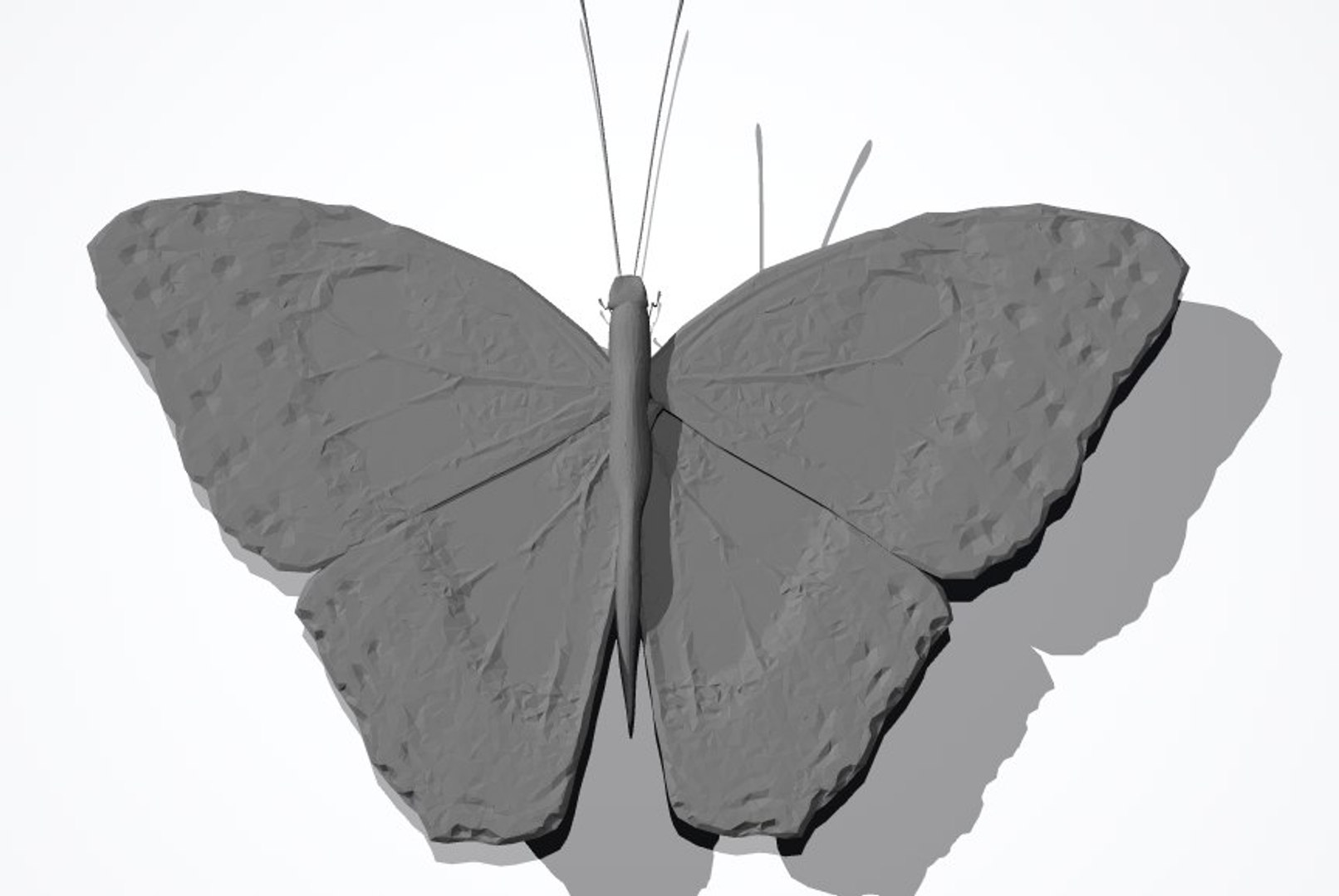 Common Blue Butterfly 3d Model