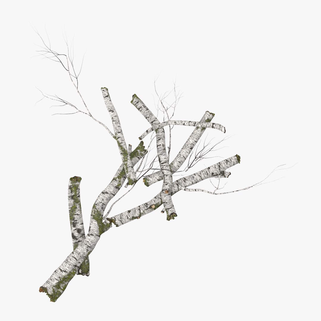 fallen logs birch 3d model