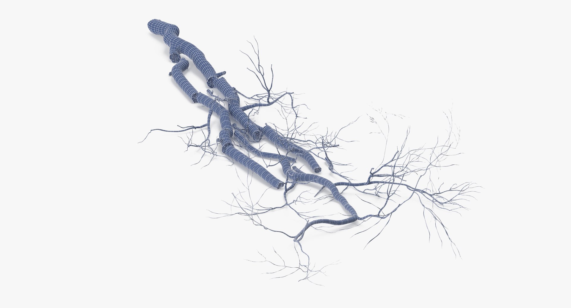 fallen logs birch 3d model