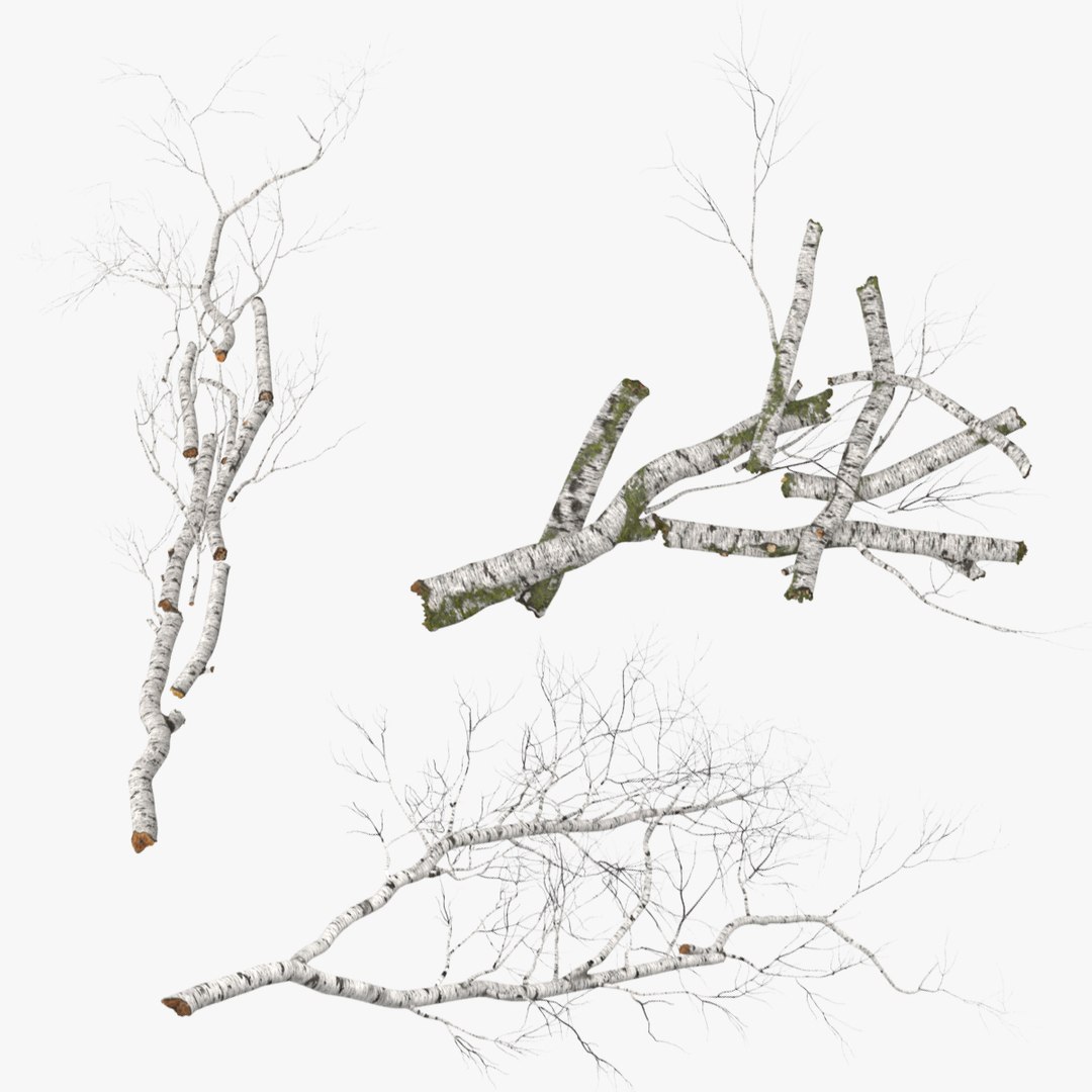 fallen logs birch 3d model