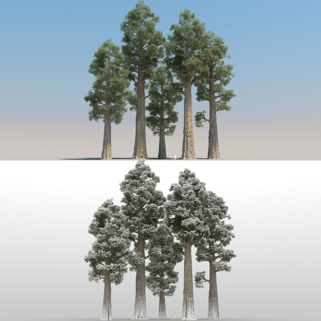 5 sequoia trees 3D model - TurboSquid 1151548