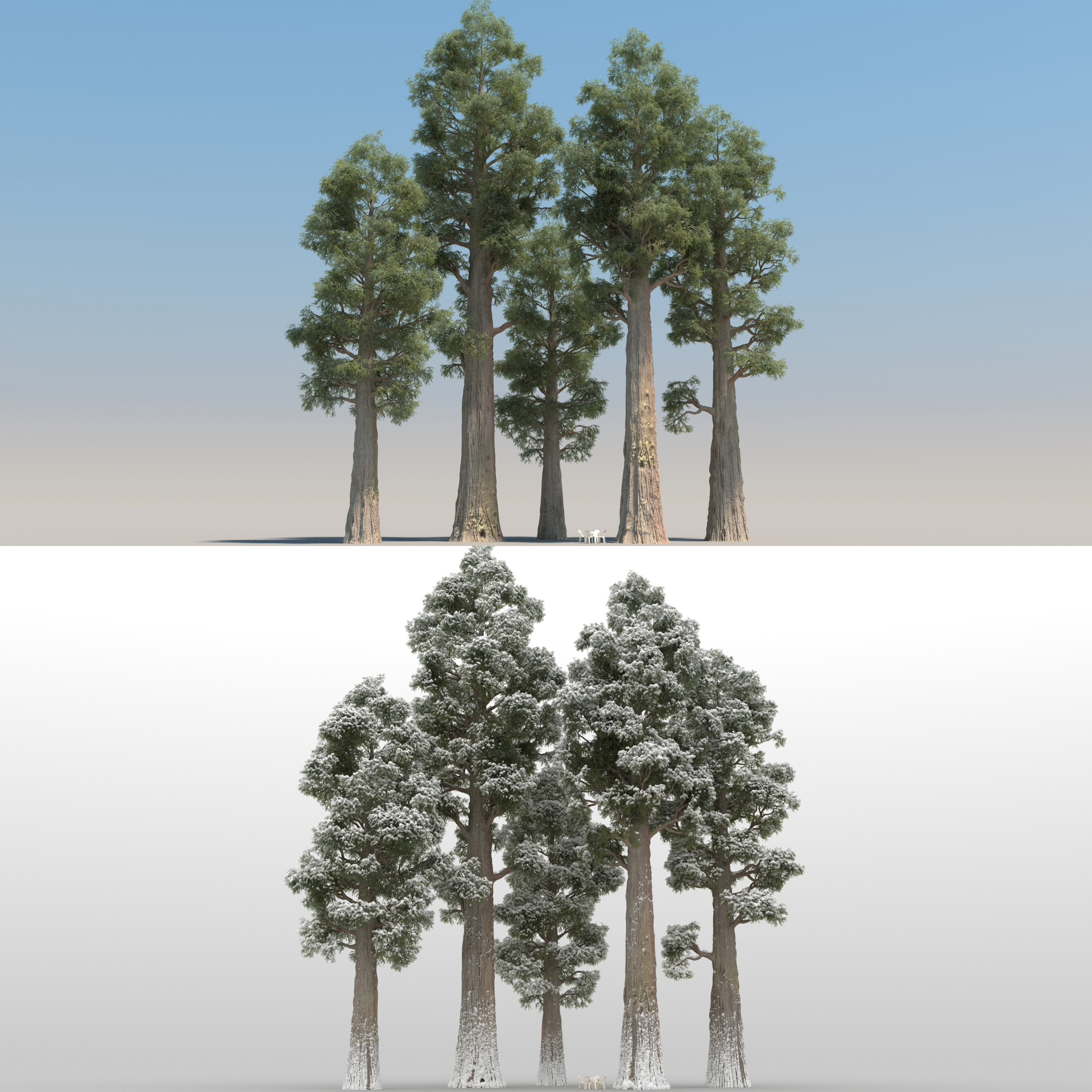5 sequoia trees 3D model - TurboSquid 1151548