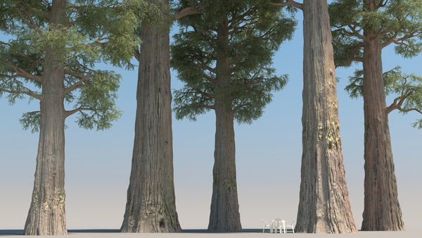 5 sequoia trees 3D model - TurboSquid 1151548