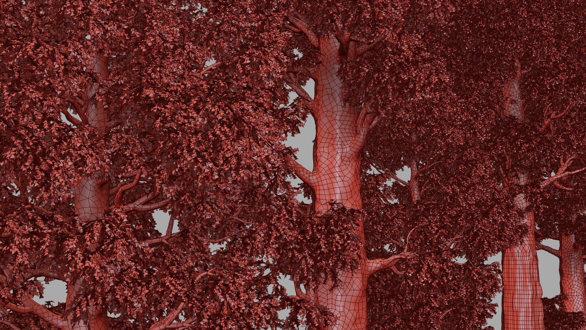 5 Sequoia Trees 3D Model - TurboSquid 1151548