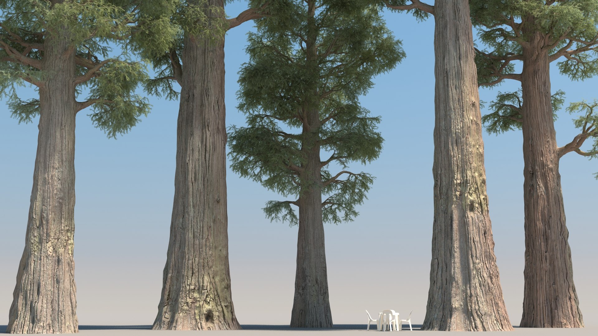 5 Sequoia Trees 3D Model - TurboSquid 1151548