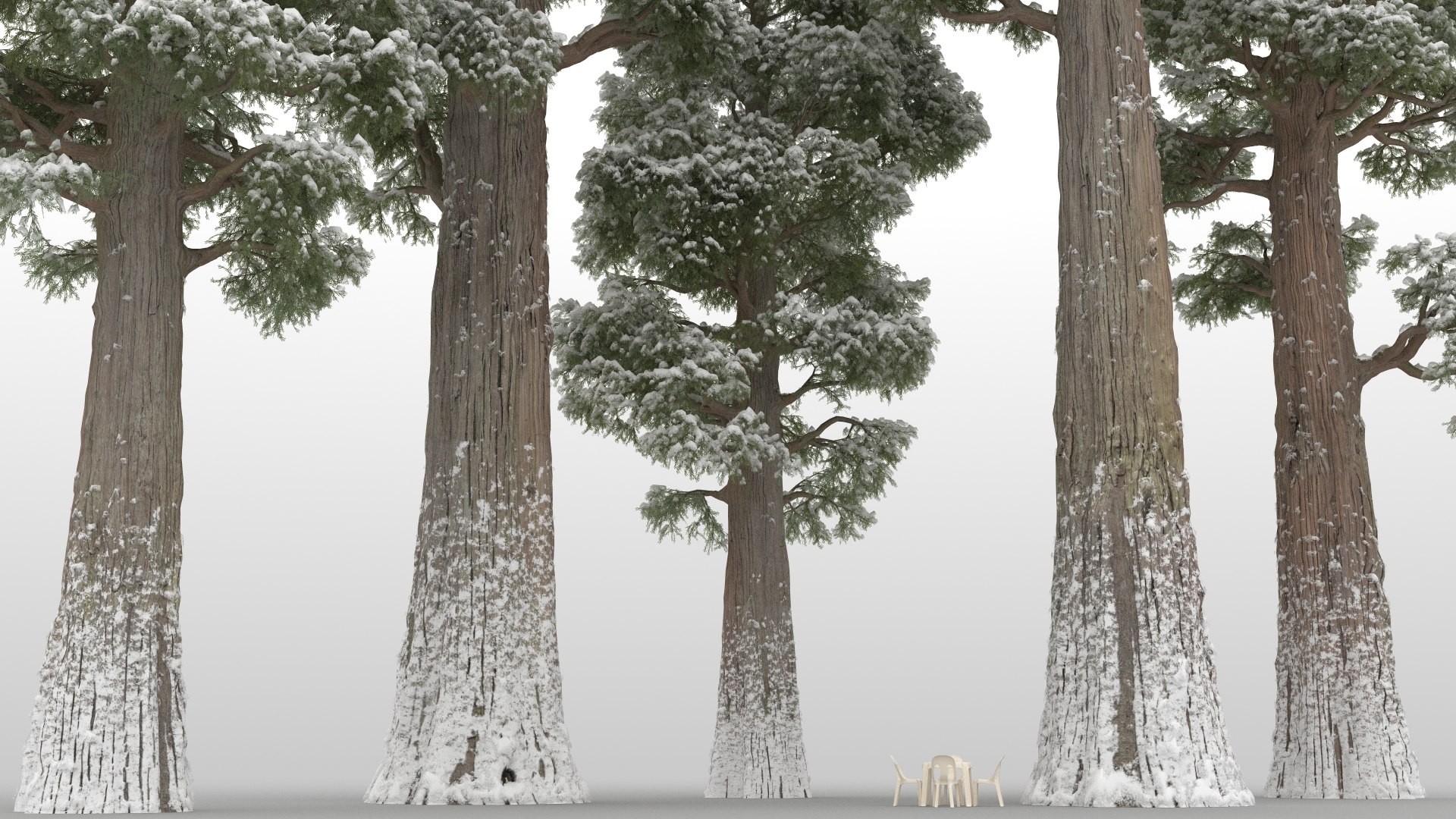 5 Sequoia Trees 3D Model - TurboSquid 1151548