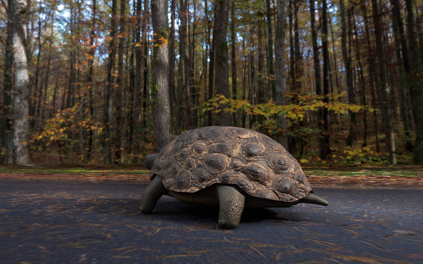 Rigged Turtle 3D Model - TurboSquid 2259716